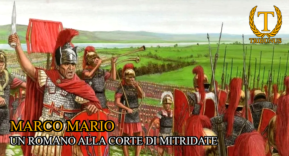 Marco Mario. Un Romano alla corte di Mitridate – TRIBUNUS